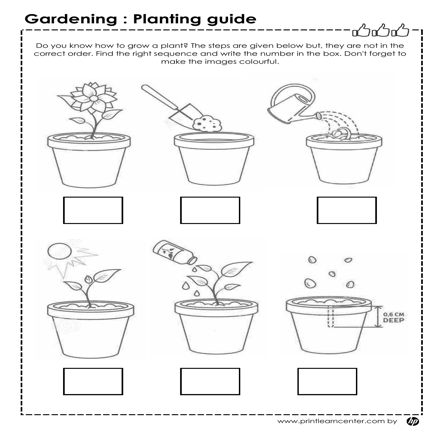 Science Worksheets For 4th Grade Plants Science – Grade 4 – QED