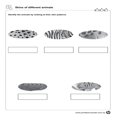 Identifying Animals Worksheets Free Animal Identification Normal