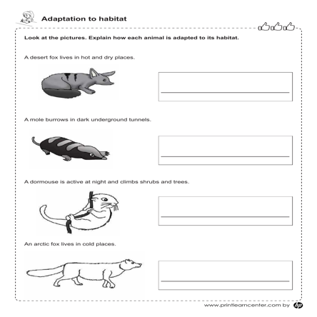 Egg Laying Animals Worksheets