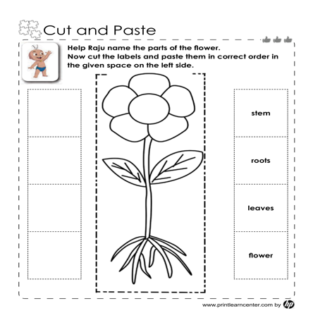 Parts Of Plants In Hindi And English Worksheets Free - Infoupdate.org