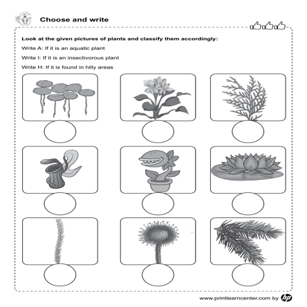 Science Worksheets For 4th Grade Plants Science – Grade 4 – QED