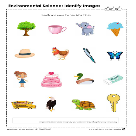 Living Things And The Environment Worksheet