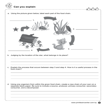 Food Chain Worksheets For Grade 3