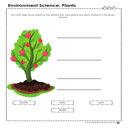 Parts Of Plants In Hindi And English Worksheets Free - Infoupdate.org
