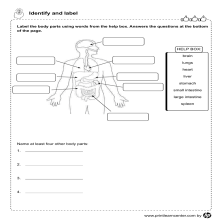 Grade 5 Science Worksheets Task Cards For Matter 5th Grade Worksheets