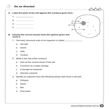 Worksheets For 5th Grade Science