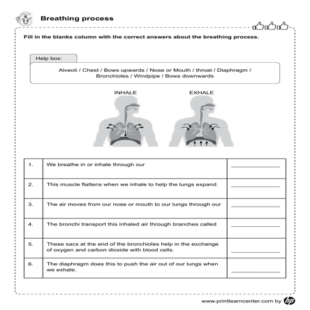 Body Systems Worksheets Ks3