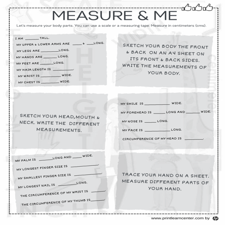 Body Measurements Worksheet