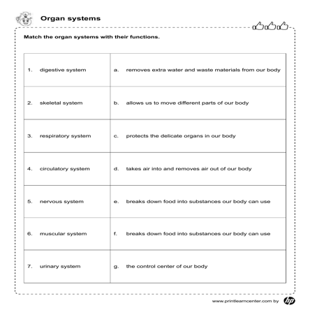 Human Body Organ Systems Worksheet Organ Systems Matching Worksheet