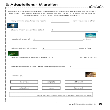 Grade 2 Science Worksheets Animals I Can Match Animals External