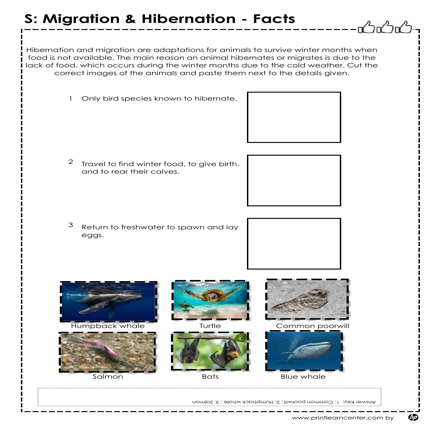 Free Worksheets For Grade 3 Science Year 3 Physical Science Questions