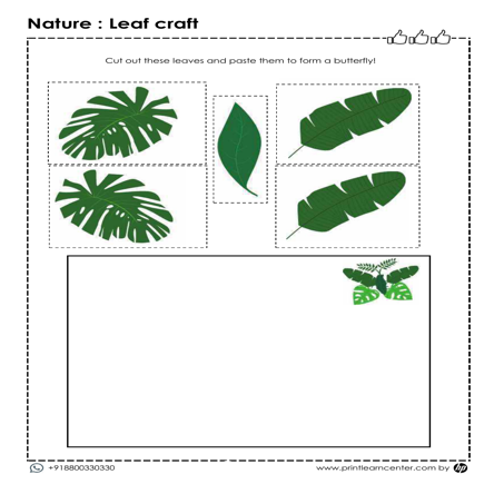 Worksheets For Grade 3 Science On Plants Plants Worksheets For Class 3