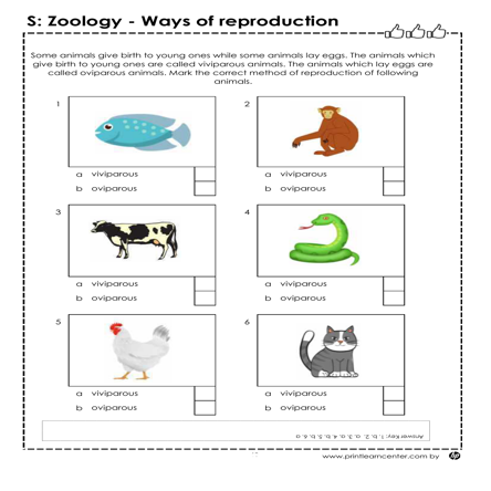 Animal Reproduction Worksheets Biology Basics: How Animals Reproduce