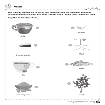 Draw And Label The Parts Of A Plant For Class 1 - Infoupdate.org